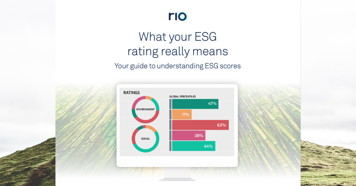 A Guide To What The ESG Ratings Scores Mean | Rio